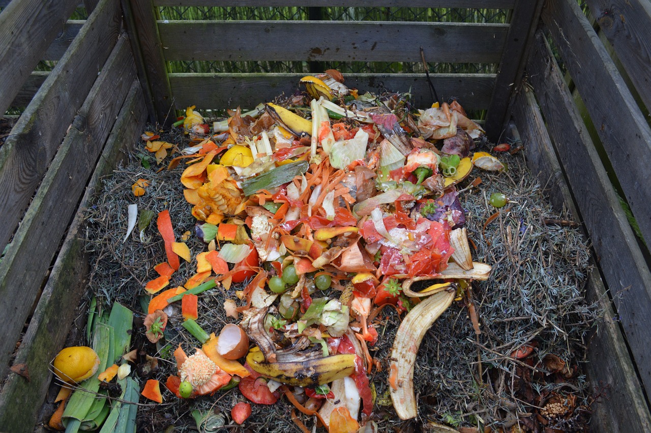 ≫ Tout ce que vous devez savoir sur les matières compostables