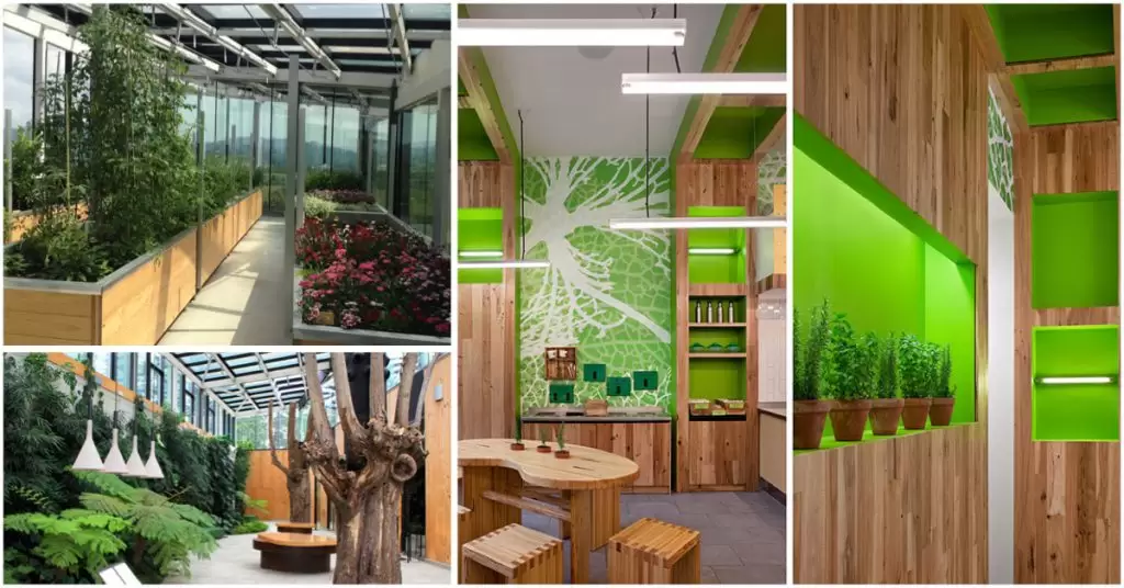 Restaurante sostenible [Tendencia que se expande]♻ Greenuso