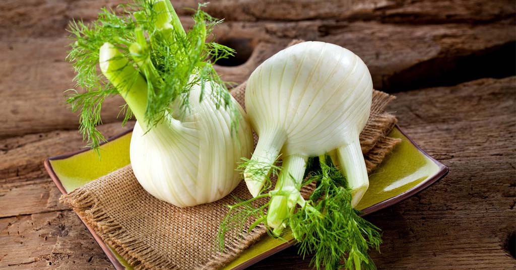 🥬 Funcho, conhece os seus benefícios e propriedades?